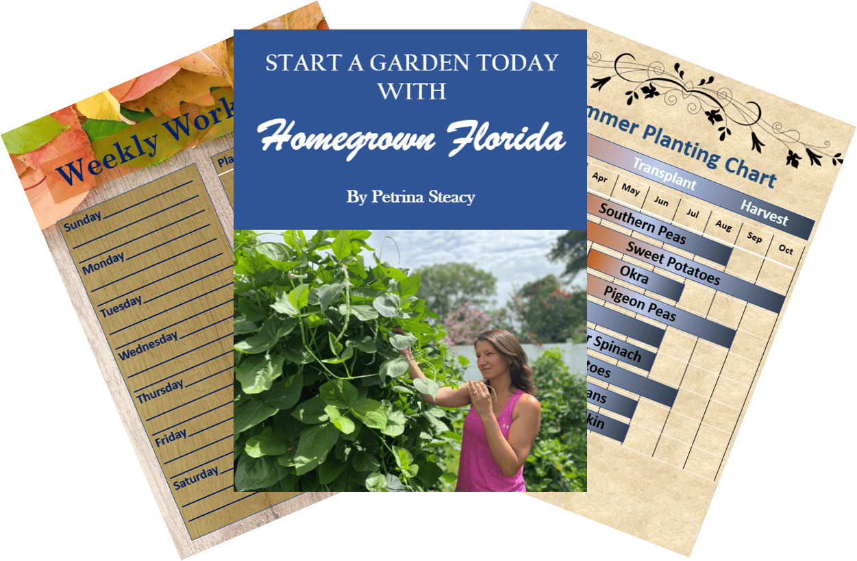 Garden Planner eBook - Homegrown Florida
