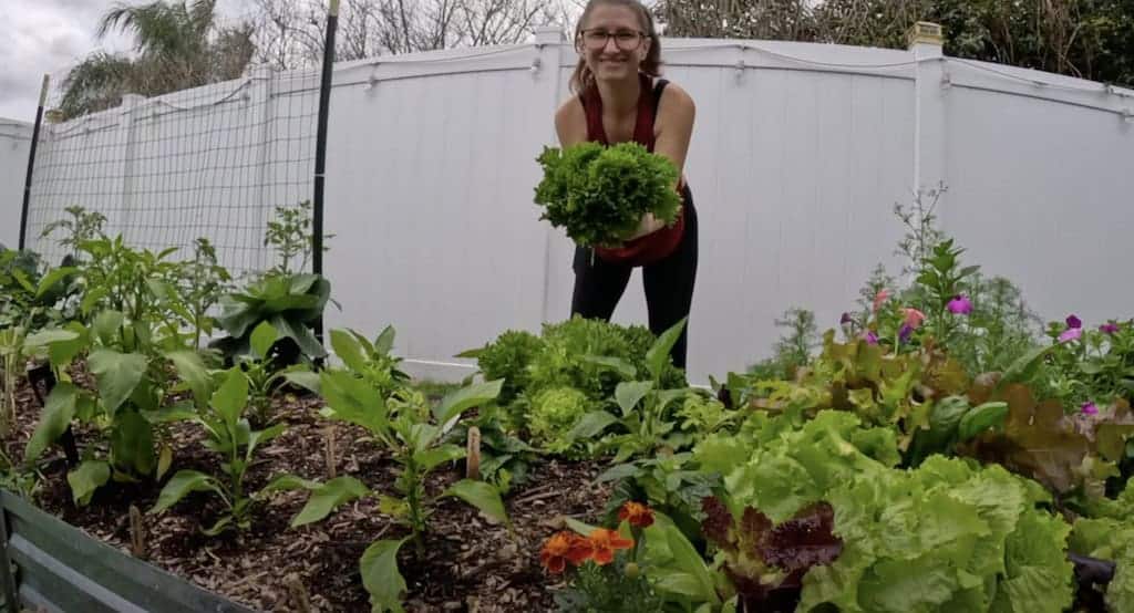 Direct Seeding versus Transplanting - What’s Best for your Garden ...