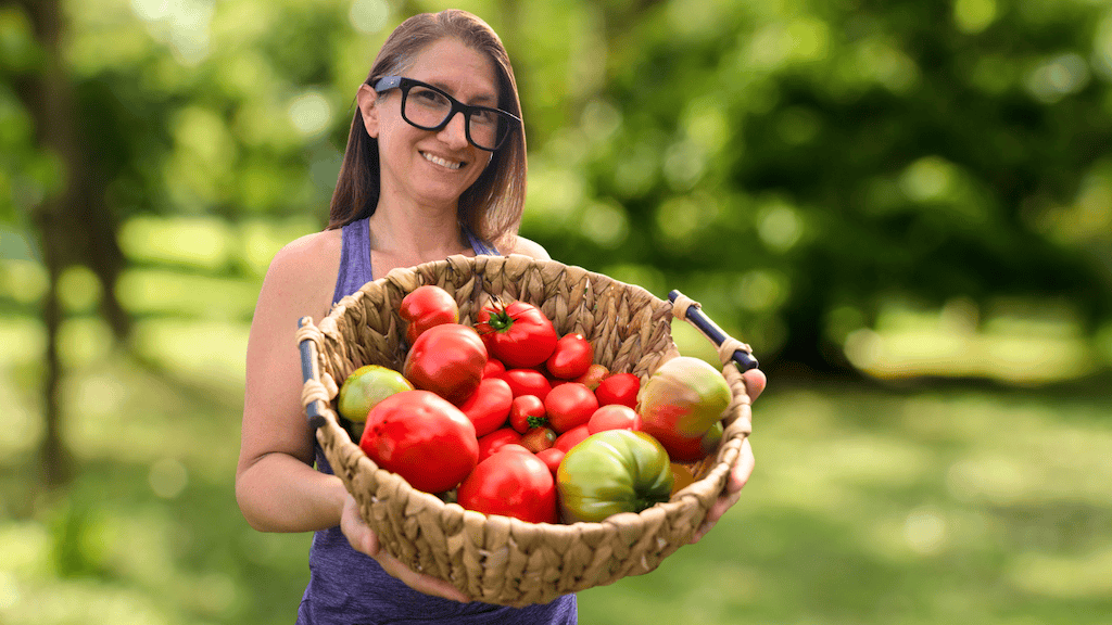 Dwarf and Determinate Best Rated Tomatoes for Florida - Homegrown Florida